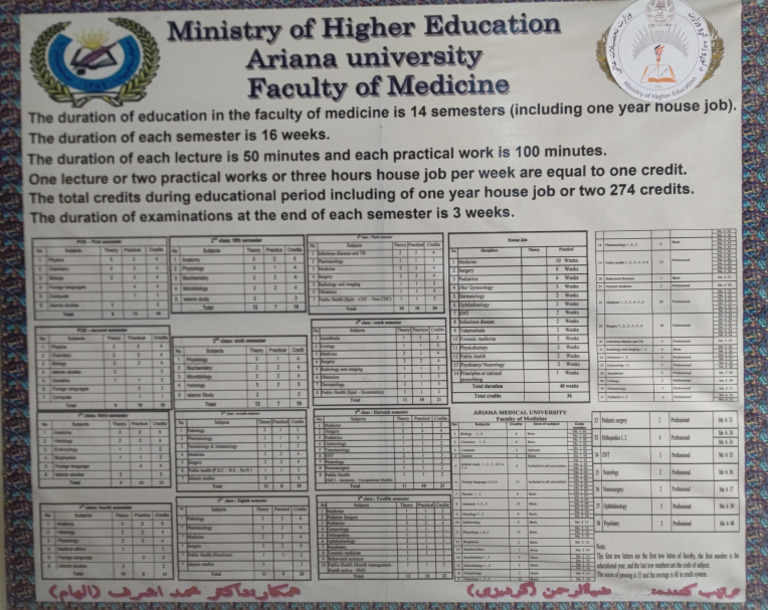 English for medical 1 semester | PDF