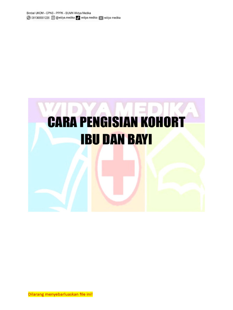 Panduan Pengisian Kohort Ibu & Bayi | PDF