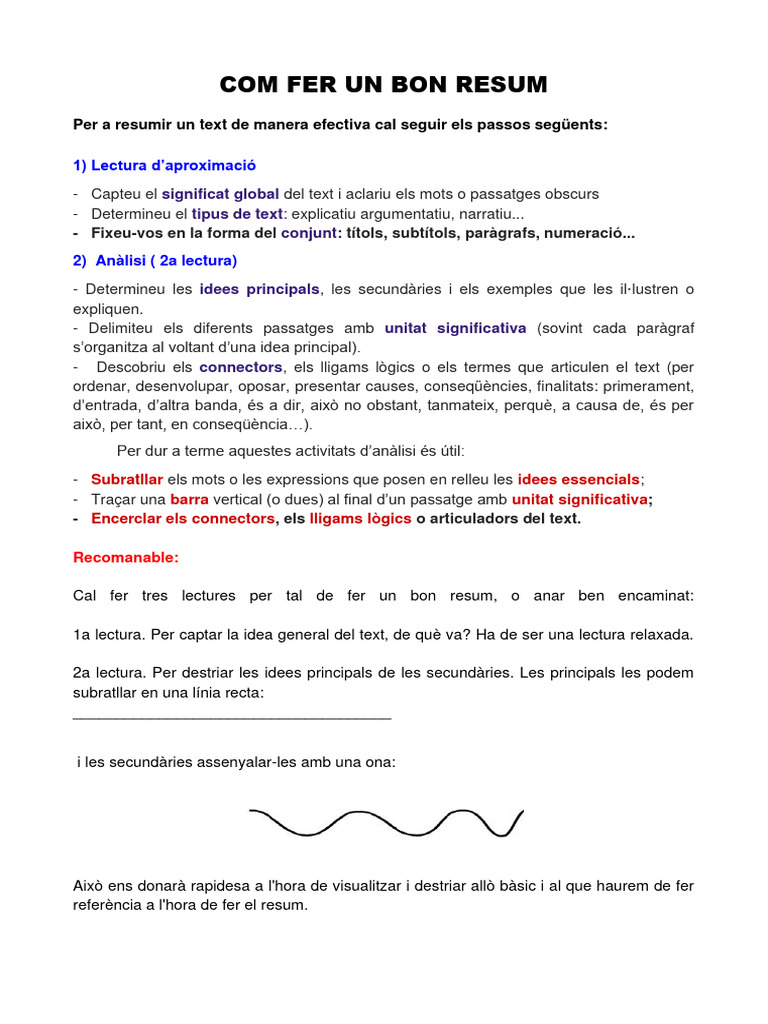 Com Fer Un Bon Resum | PDF