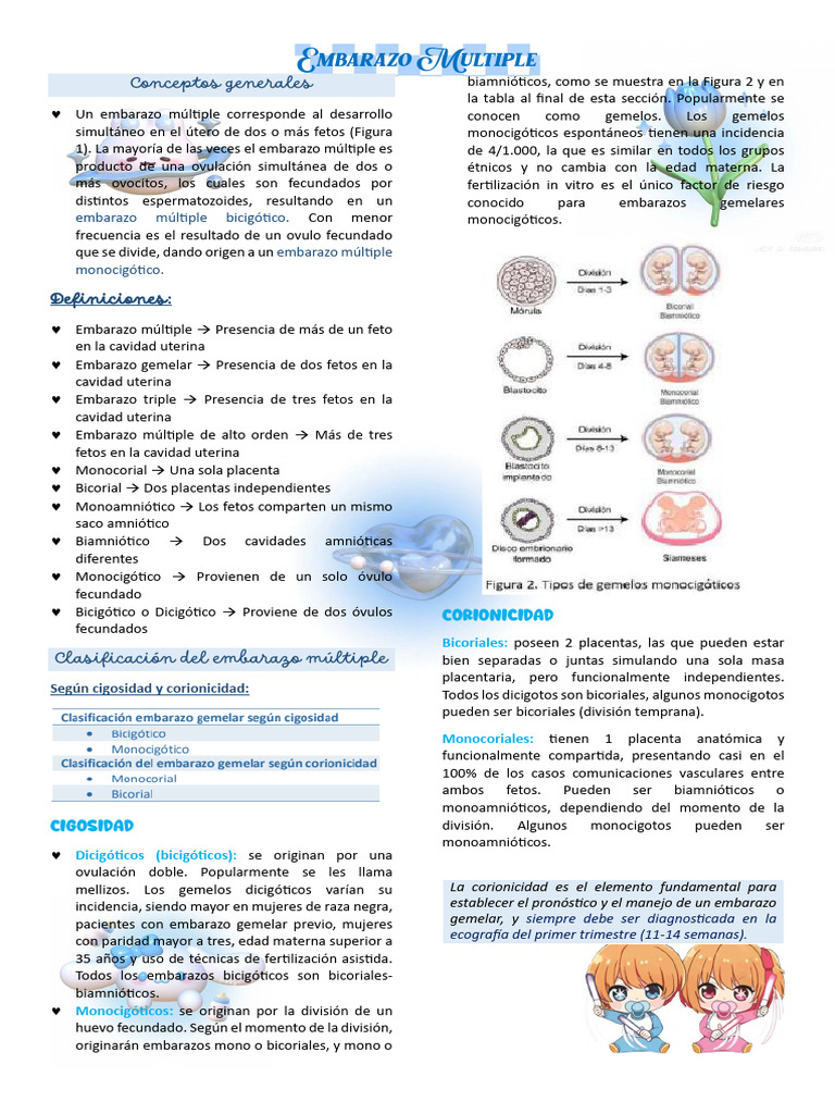 Embarazo gemelar | PDF | Nacimientos Múltiples | El embarazo