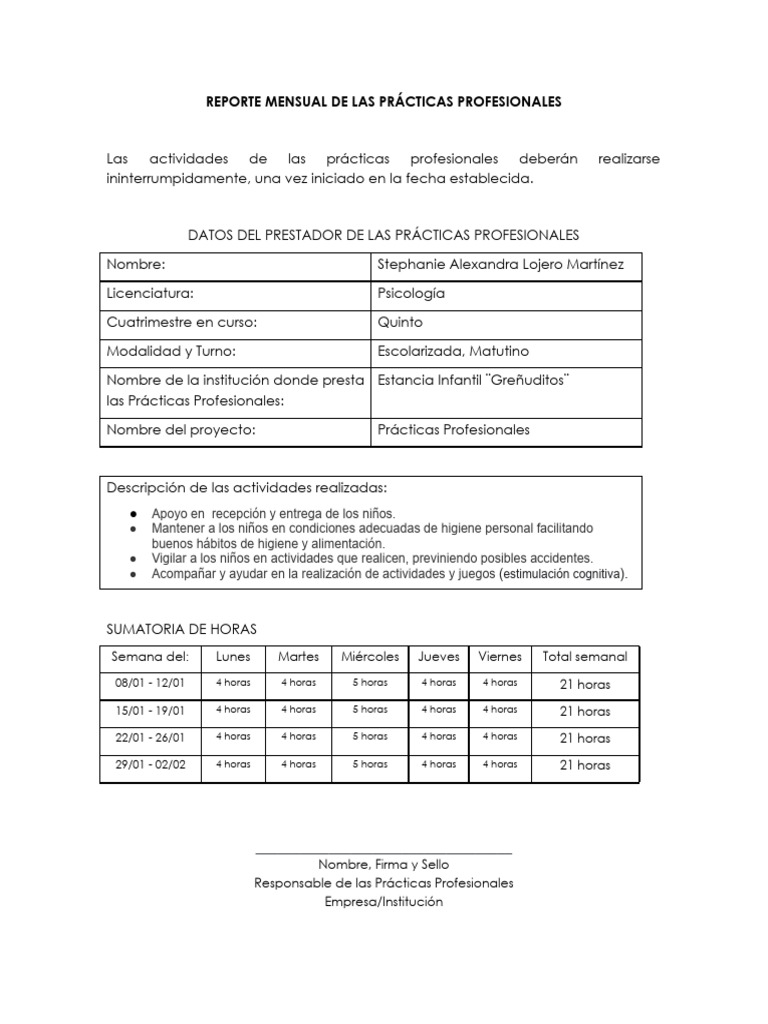 Reporte Mensual 1 | PDF