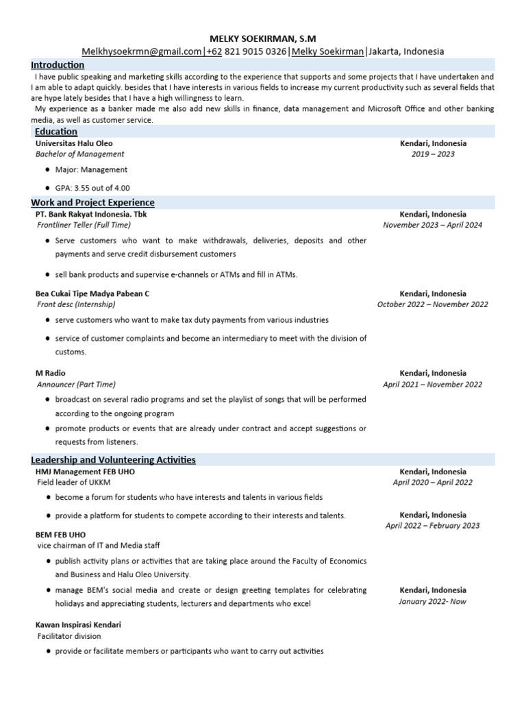 CV Template | PDF | Banks | Economies
