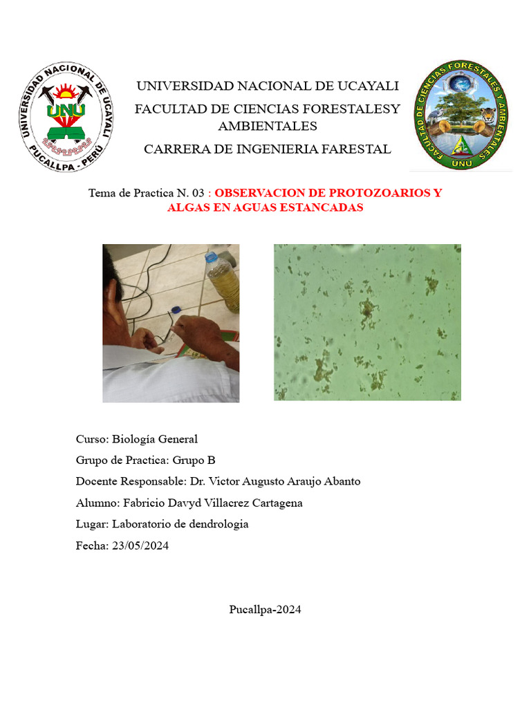 practica 3 labo | PDF | Protozoos | Algas