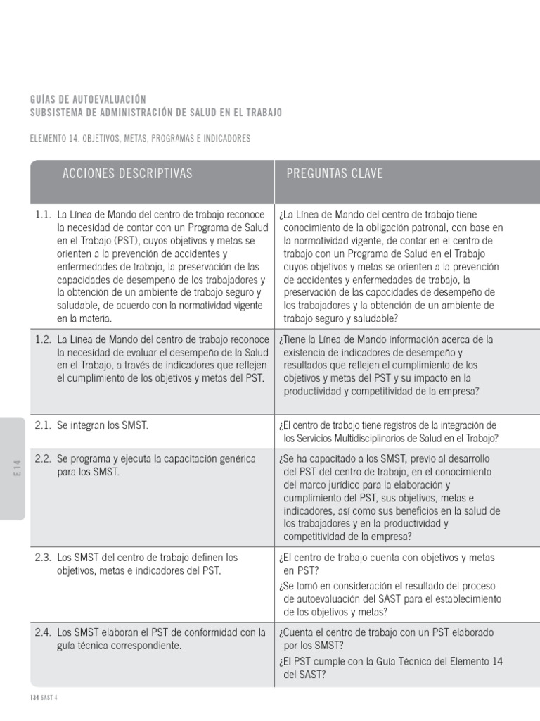 SAST GA E14 Objetivos, Metas, Programas e Indicadores | PDF