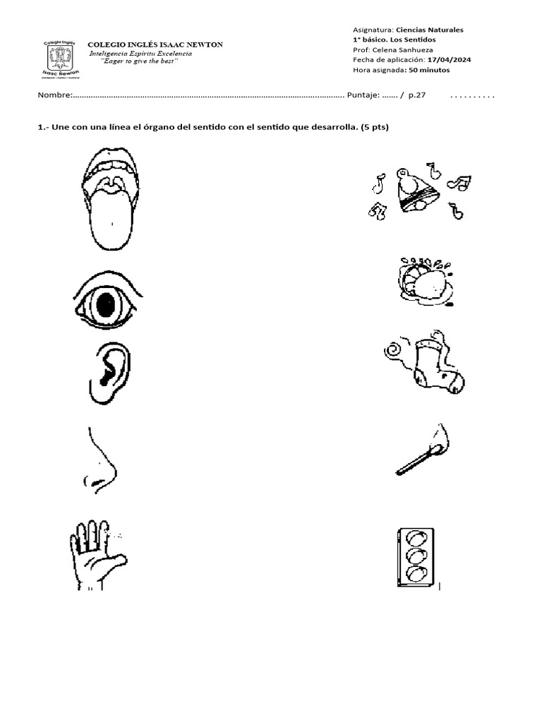 Prueba de Los Sentidos Primero Básico | PDF | Gusto