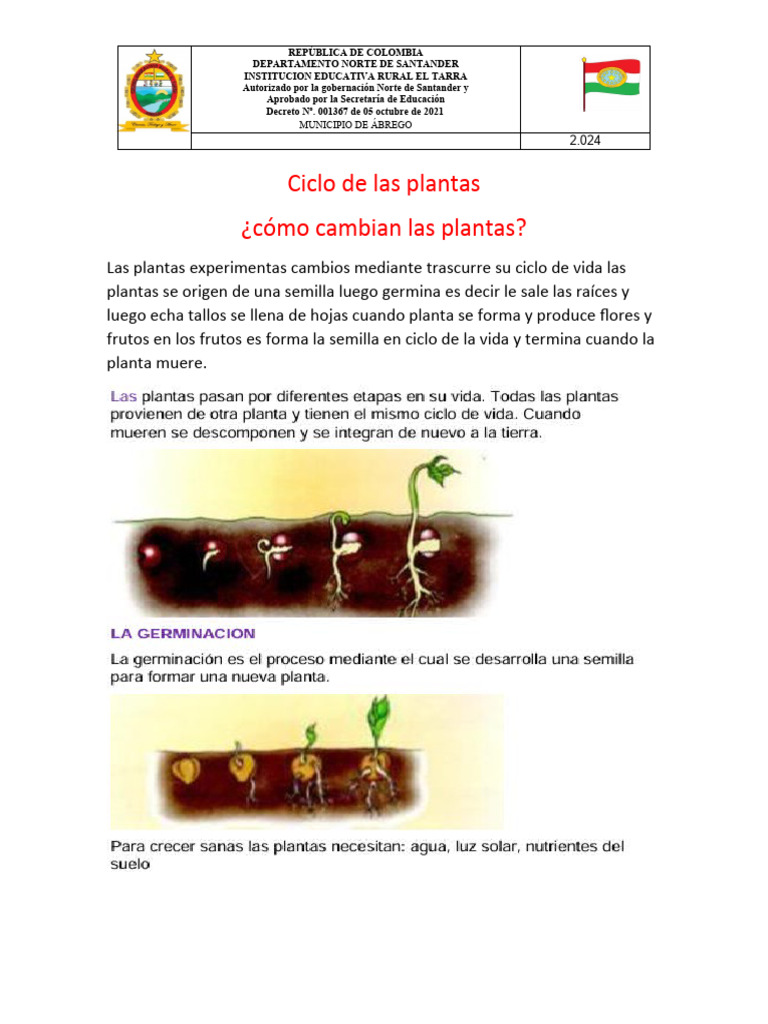 Ciclo de Vida de las Plantas | PDF