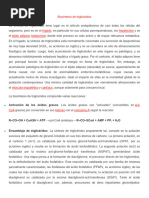 Biosíntesis de Fosfolípidos y Esfingolípidos | PDF | Biosíntesis | Lípido