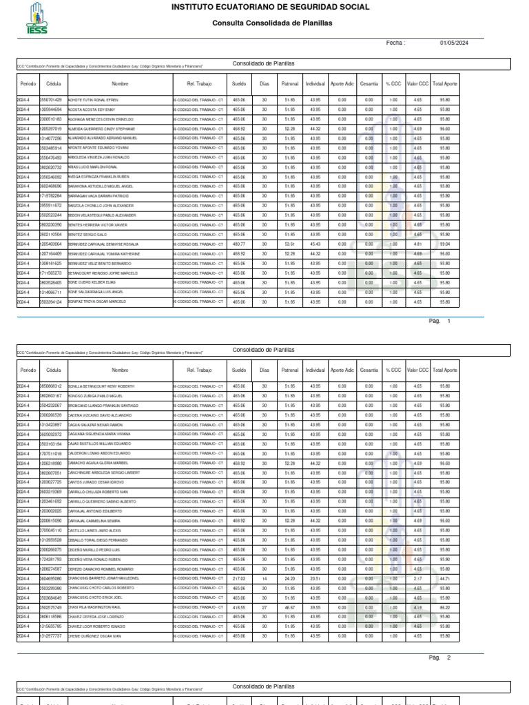 Consolidado Planilla Iess | PDF | Ecuador