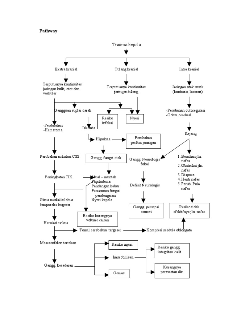 E. Pathway | PDF