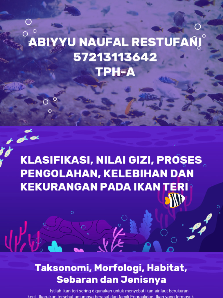 Klasifikasi Ikan Teri | PDF