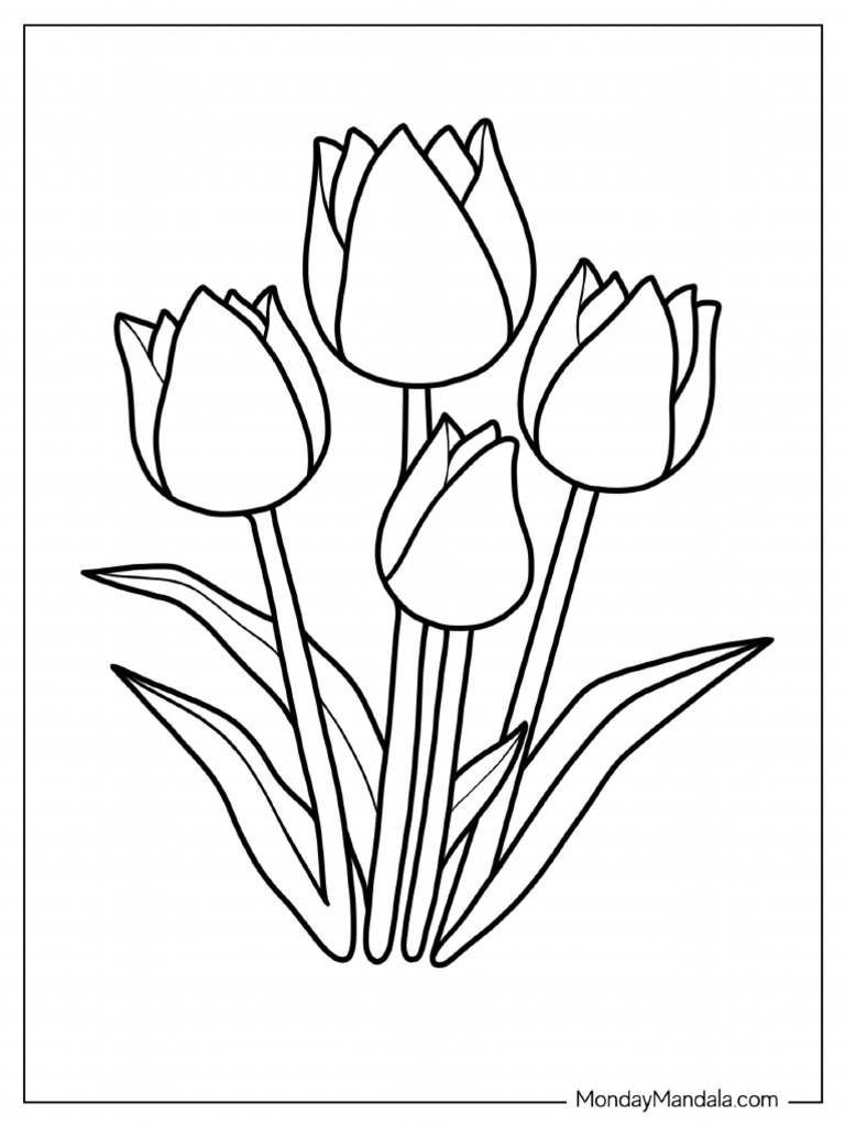 Four Blooming Tulips Coloring Page For Kids | PDF