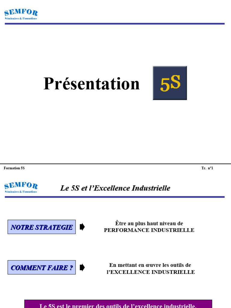 5S Presentation | PDF