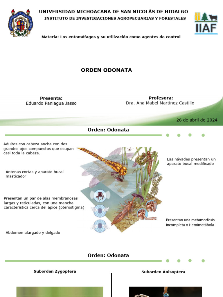 Odonata | PDF | Hogar, jardinería y bricolaje | Salud y bienestar