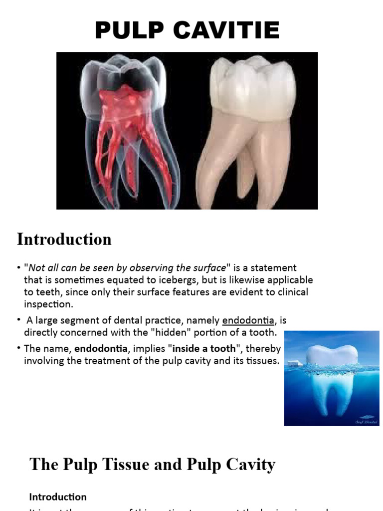 Pulp Cavities | Download Free PDF | Tooth | Mouth