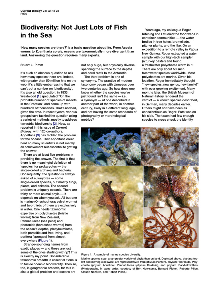 Biodiversity Not Just Lots of Fish in the Sea 2012 Current Biology ...