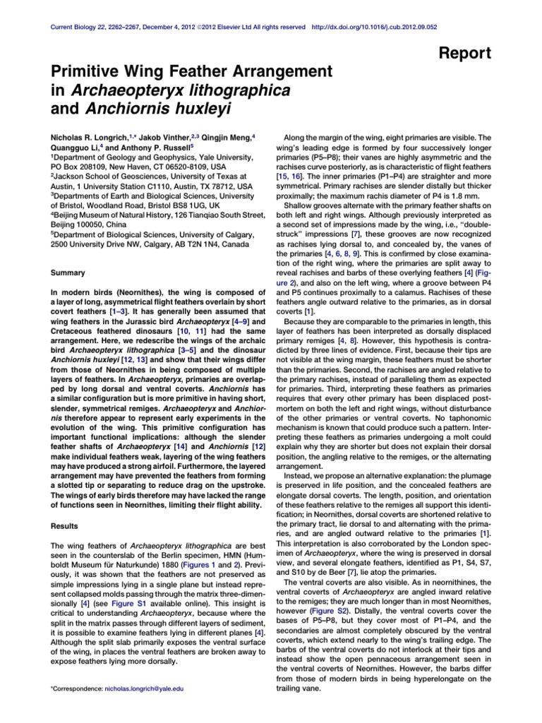Primitive Wing Feather Arrangement in Archaeopteryx Lithogra - 2012 ...