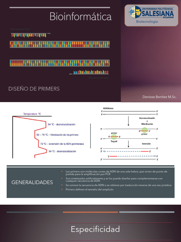 Bioinfo_5_Diseño de primers | Descargar gratis PDF | Primer (Biología Molecular) | Reacción en ...