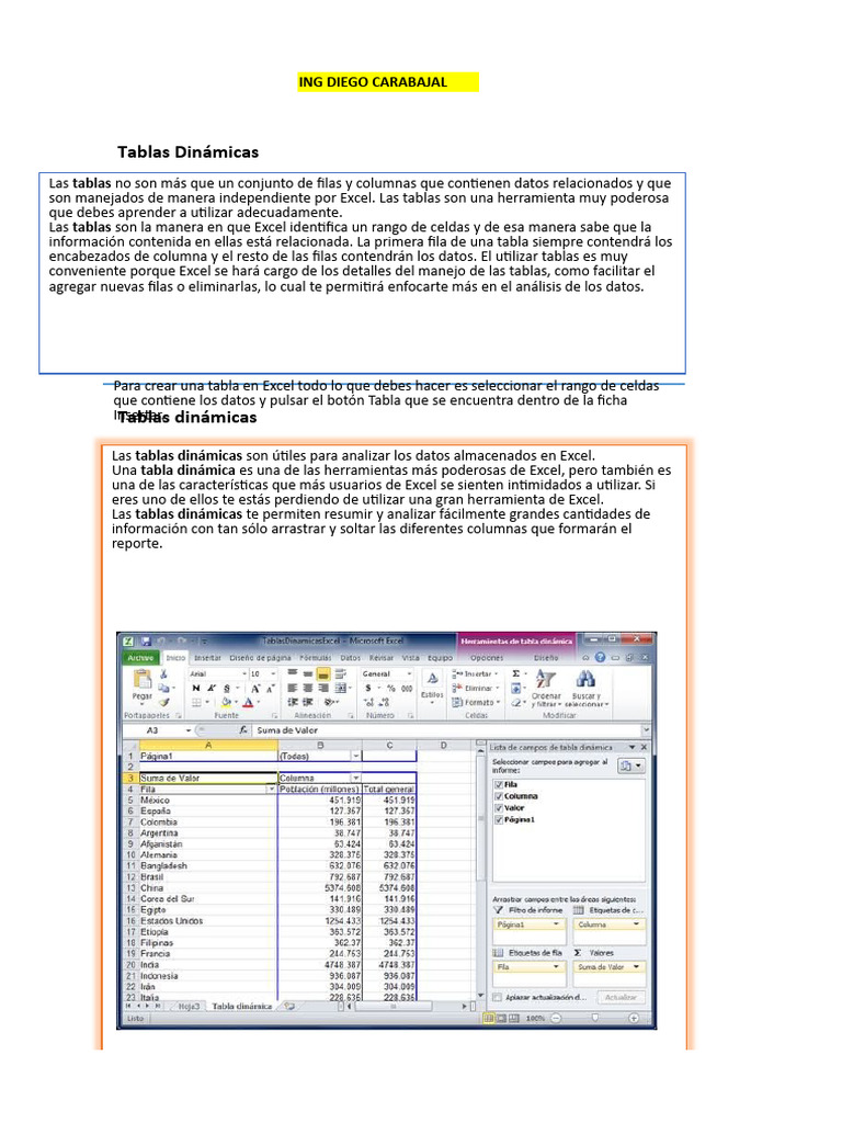 Clase 05 TABLAS DINAMICAS 3 | Descargar gratis PDF | Microsoft Excel | Software de la aplicacion