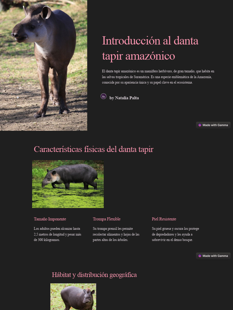 Danta Tapir Amazónico: Especie Clave en la Amazonía | PDF | Zoología ...