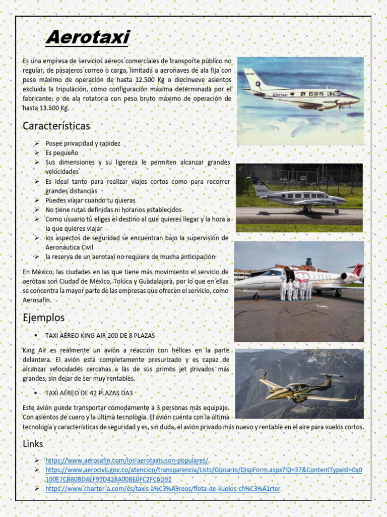 Aerotaxis: Privacidad y Flexibilidad | PDF | Transportador de bajo costo | Avión de línea