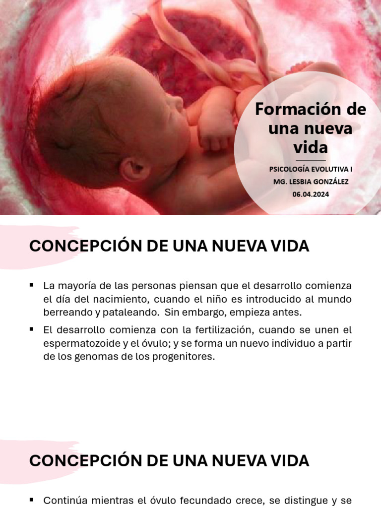 Presentaci N 2 Formaci N de Una Nueva Vida | PDF | El embarazo | Embrión