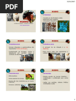 Garrotilho e Mormo em Equídeos: Revisão | PDF | Medicina Veterinária ...