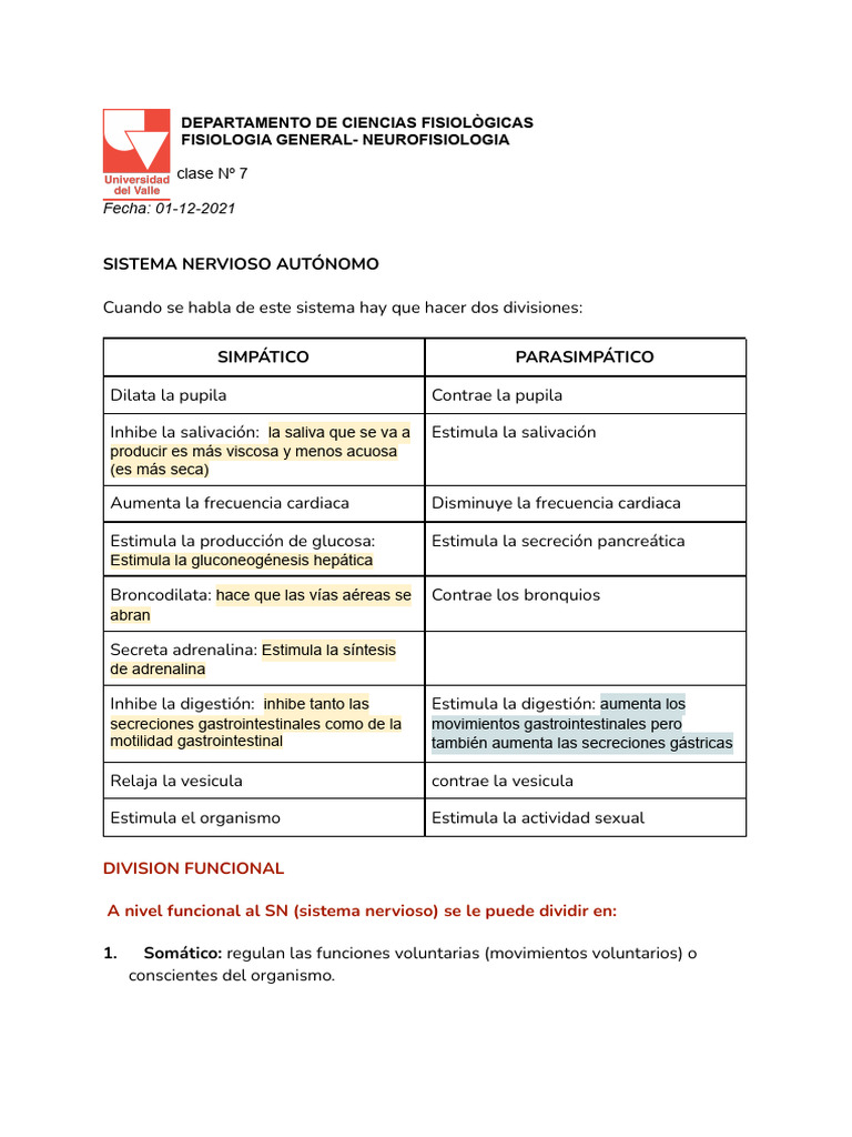 Sistema Nervioso Autonomo Pdf Acetilcolina Glándula Suprarrenal