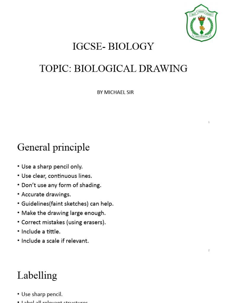 Biological Drawing | PDF
