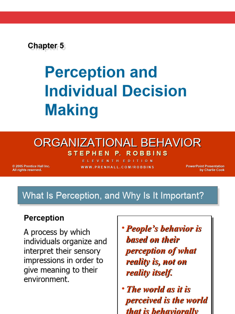 Chapter 5 Perception and Individual Decision Making | PDF | Decision Making | Bias