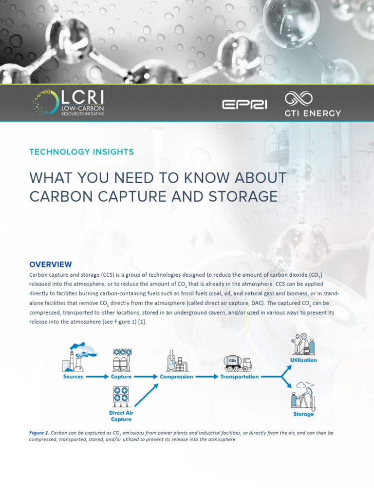 Carbon Capture and Storage Overview | PDF | Carbon Capture And Storage ...