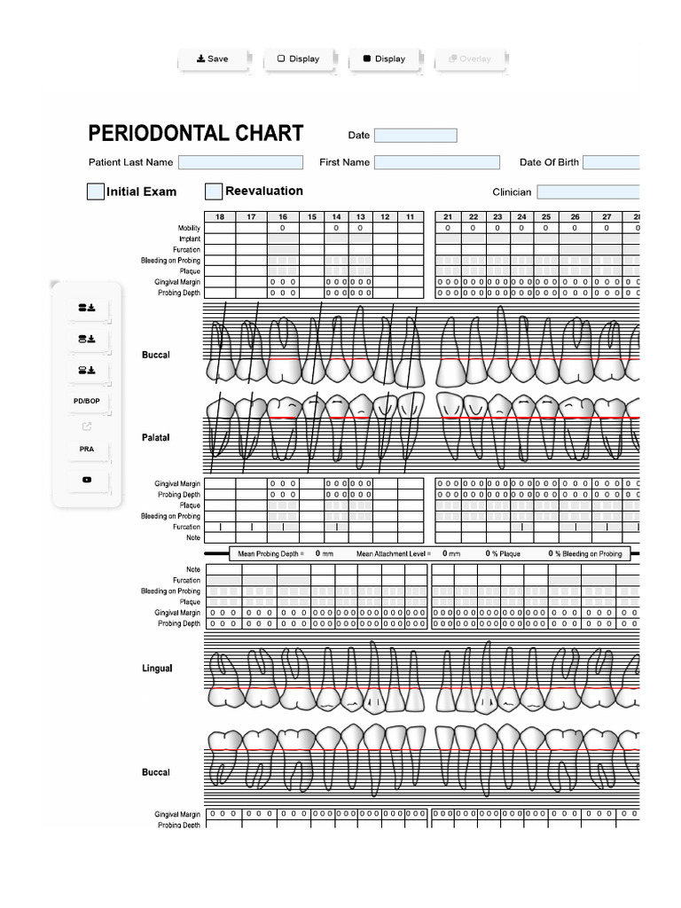Periodontal Chart Online - WWW - Perio-Tools - Com 6 | PDF