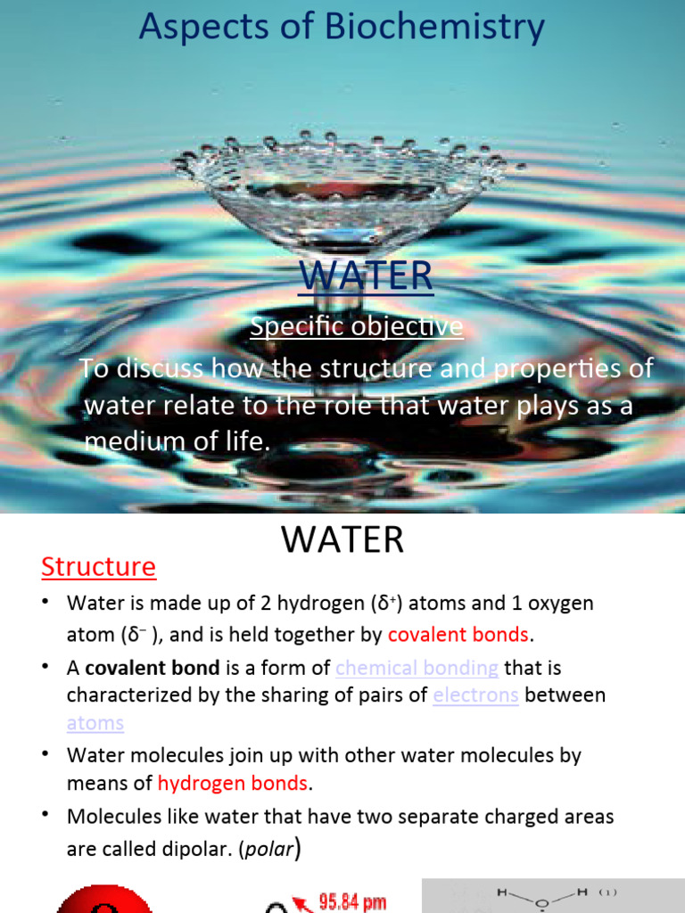 Biochemistry: Water & Glucose | PDF | Lipid | Fatty Acid