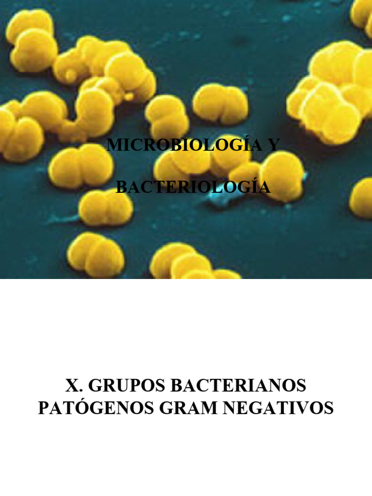 Clase Micro - Cap X (Gram Negativos) | PDF | Bacterias Gram-negativo ...