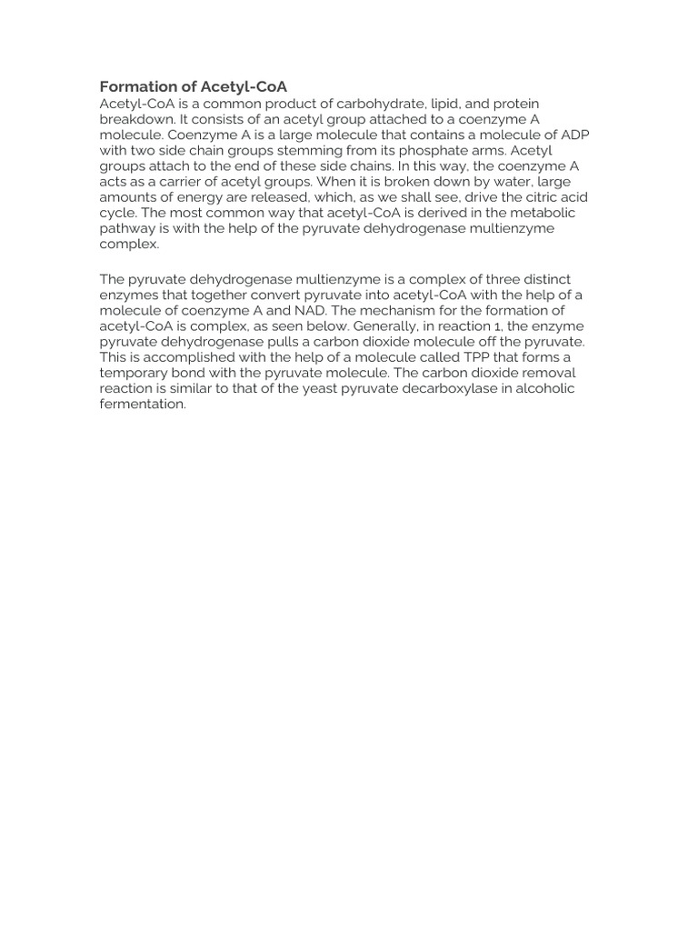 Acetyl-CoA Formation in Metabolism | PDF
