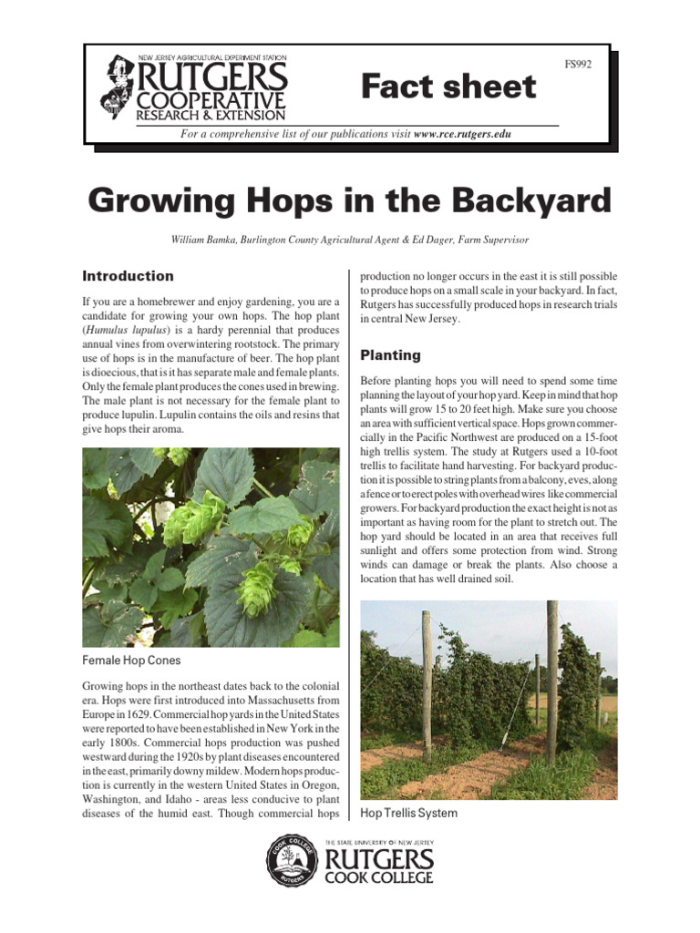 Growing Hops | PDF | Hops | Pruning