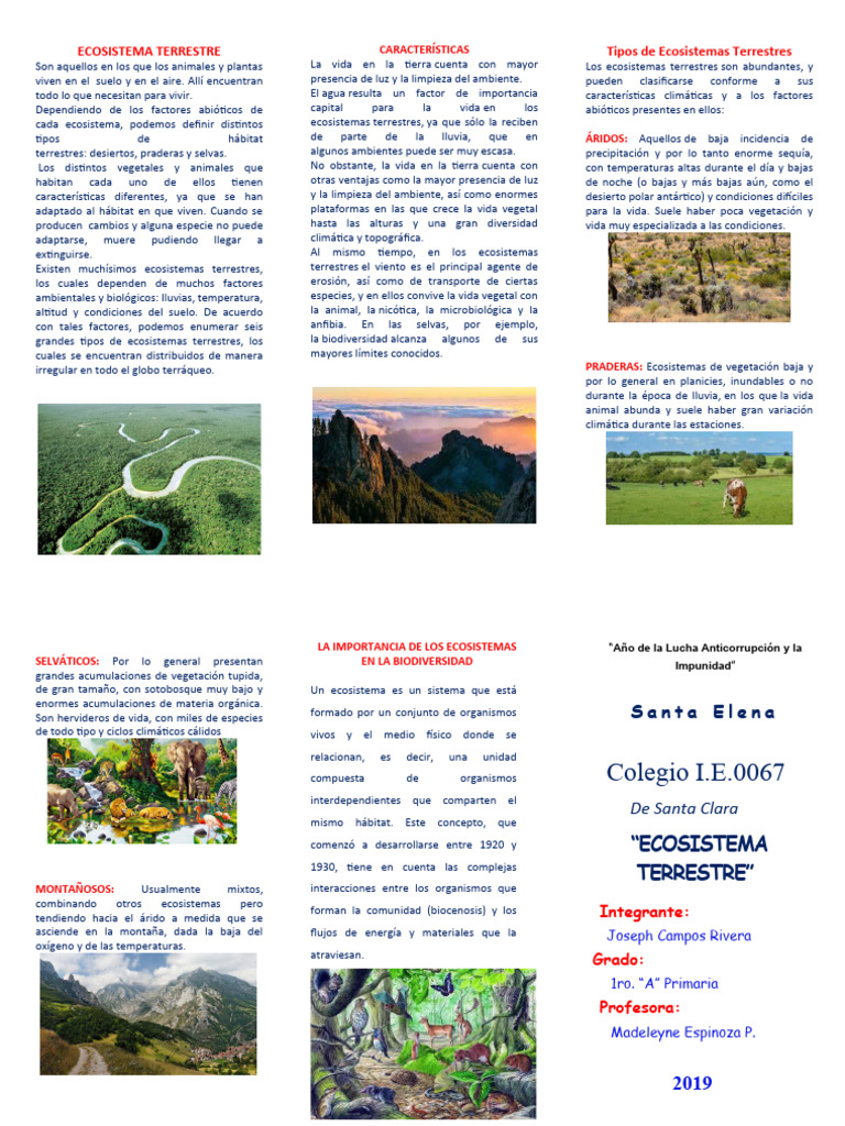 Triptico Ecosistema Terrestre 1 | PDF | Ecosistema | Suelo