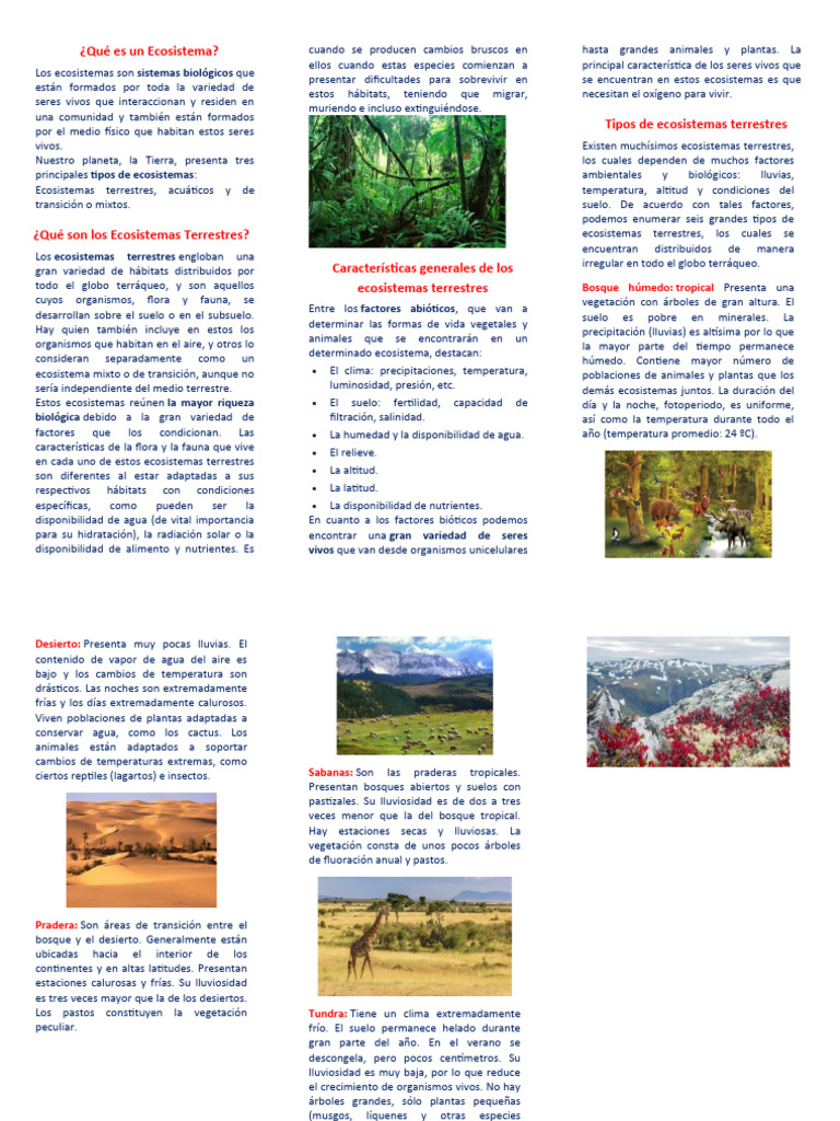 Triptico Ecosistema Terrestre 2 | PDF | Ecosistema | Suelo