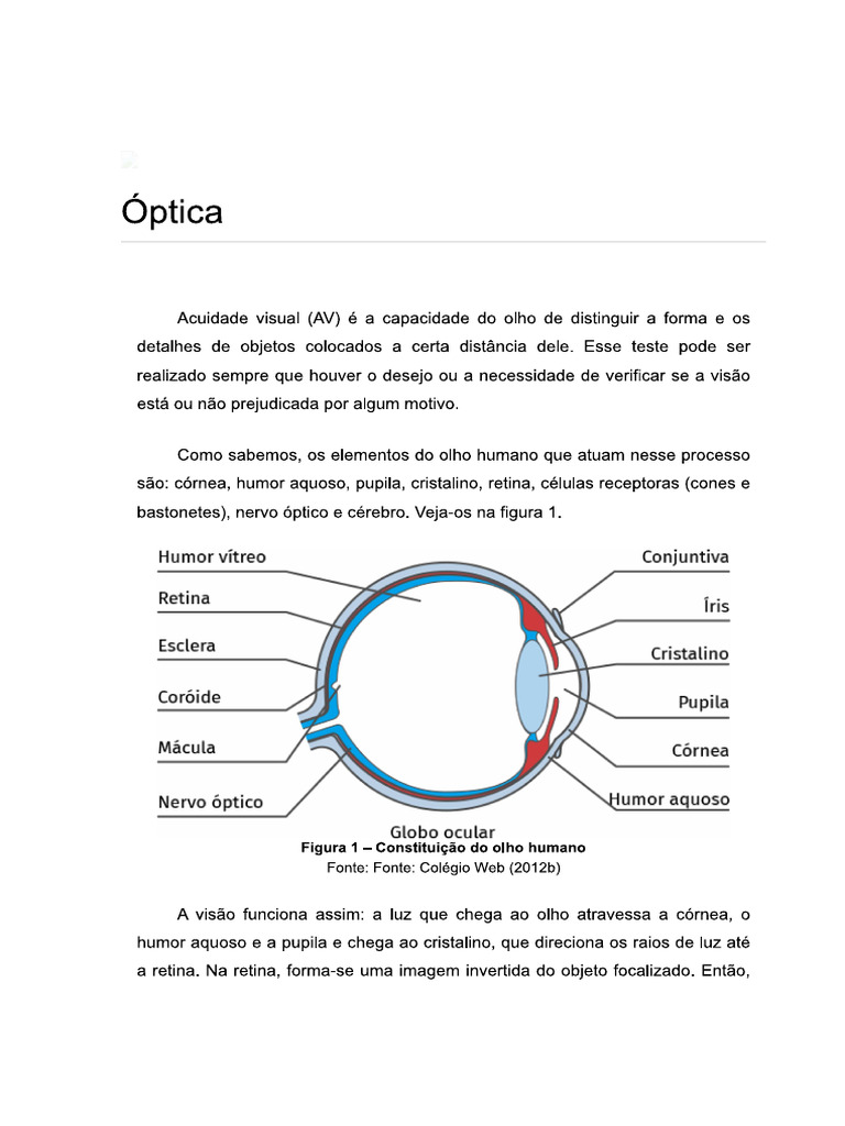 Acuidade Visual Conceito e Classificação | PDF