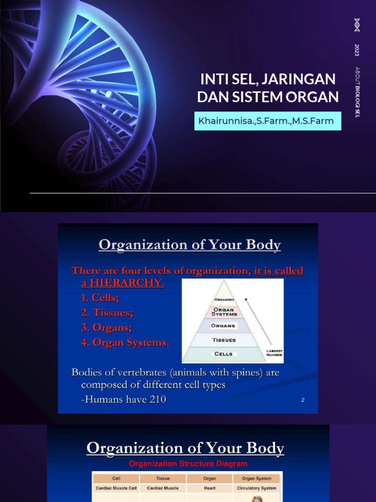 Inti Sel, Jaringan Dan Sistem Organ | PDF