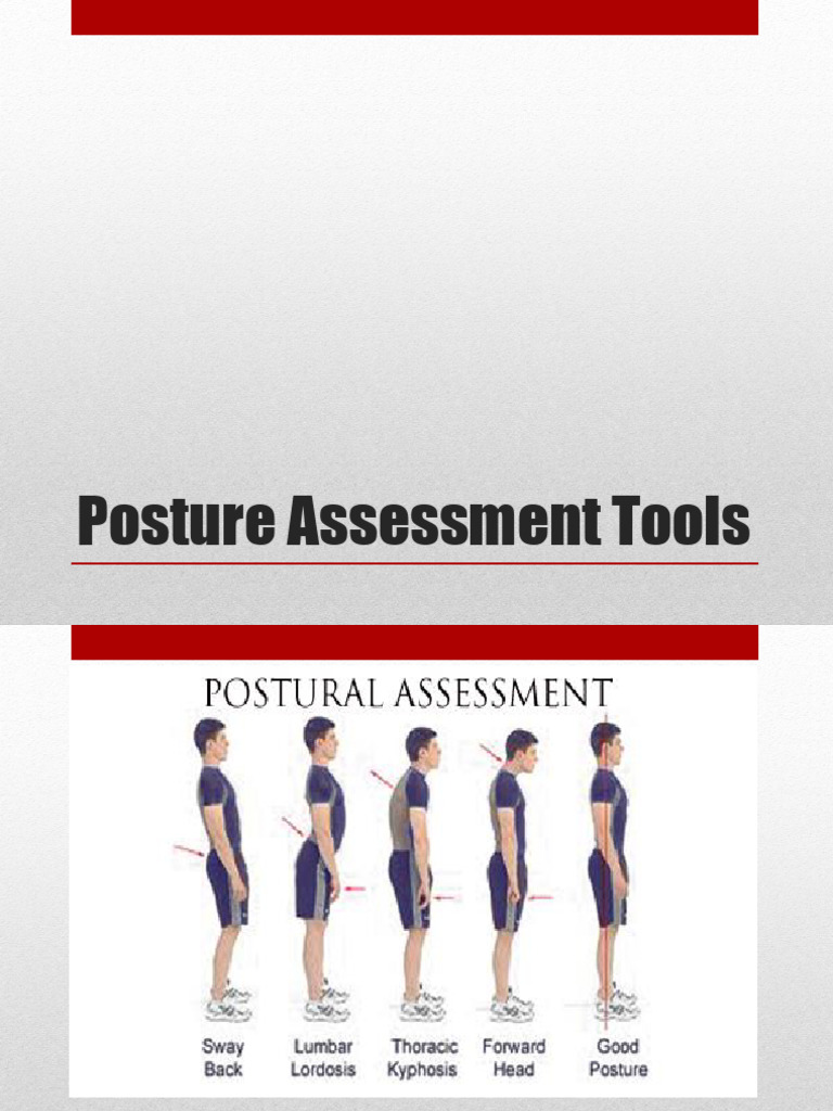 Posture Assessment Tools Overview | PDF | Vertebral Column | Pelvis