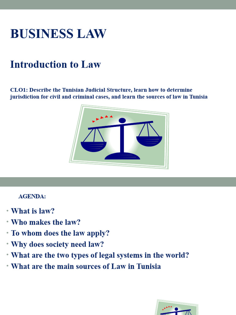 Chap 1 INTRODUCTION TO LAW | PDF | Common Law | Precedent