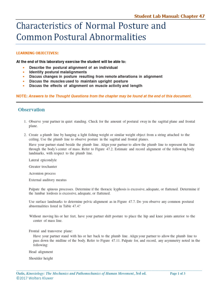 Posture Students | PDF | Pelvis | Anatomical Terms Of Motion