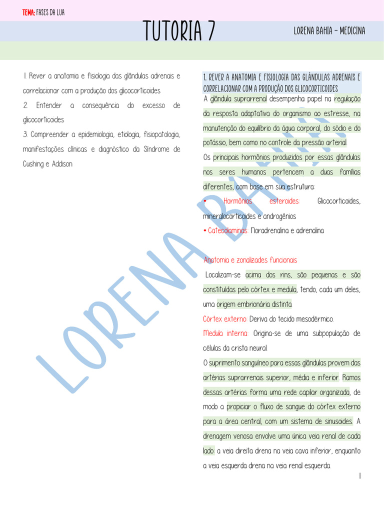 Apg 7 | PDF | Glândula suprarrenal | Cortisol