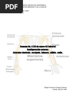 Surco Intertubercular del Húmero | PDF | Articulaciones | Anatomía humana