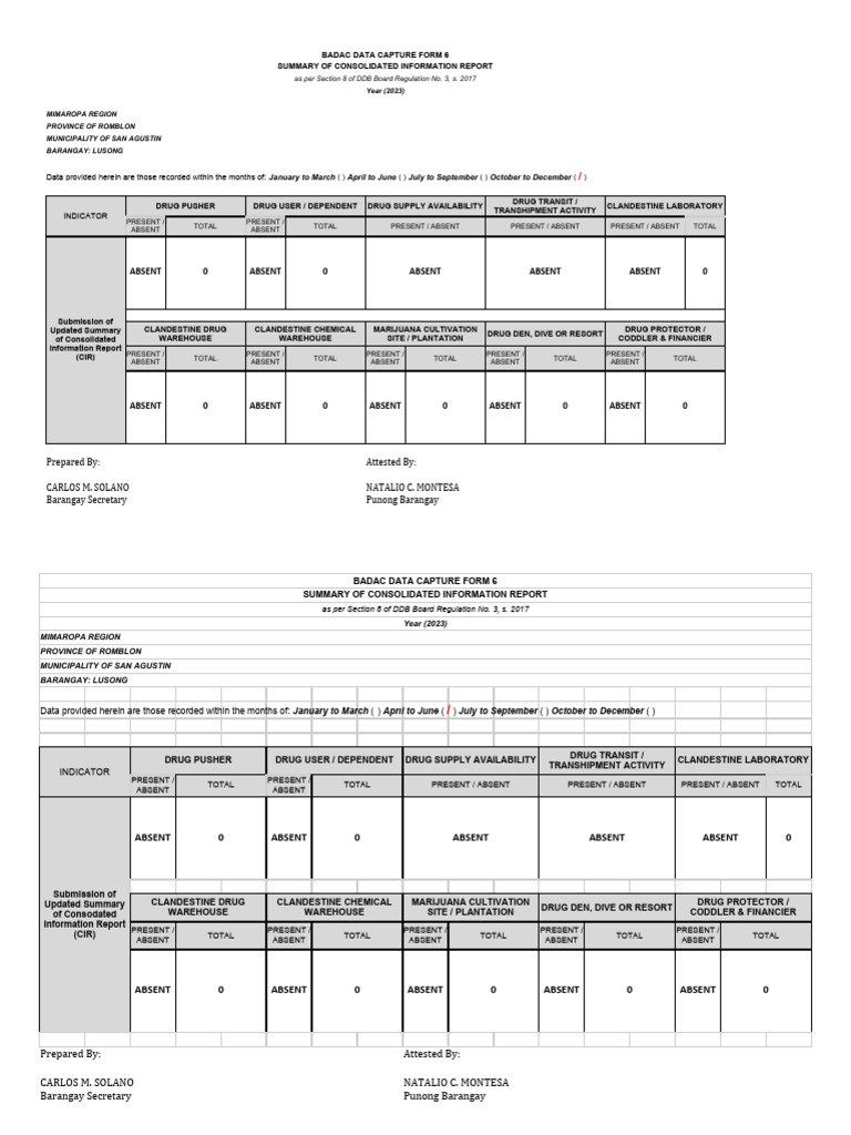 BADAC Data Capture Form 6 Summary 2023 | PDF | Illegal Drug Trade | Drugs