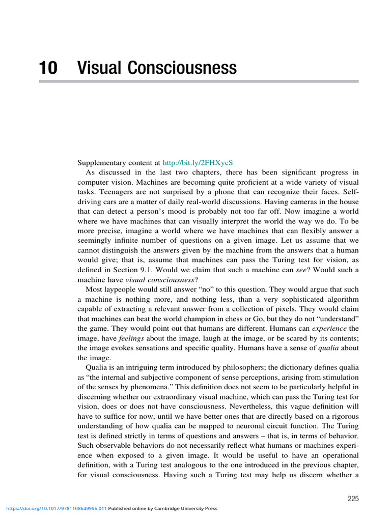Understanding Visual Consciousness | PDF | Consciousness | Perception