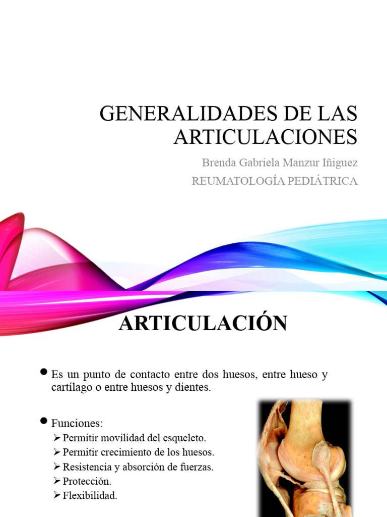 GENERALIDADES DE LAS Articulaciones | PDF | Articulación | Rodilla