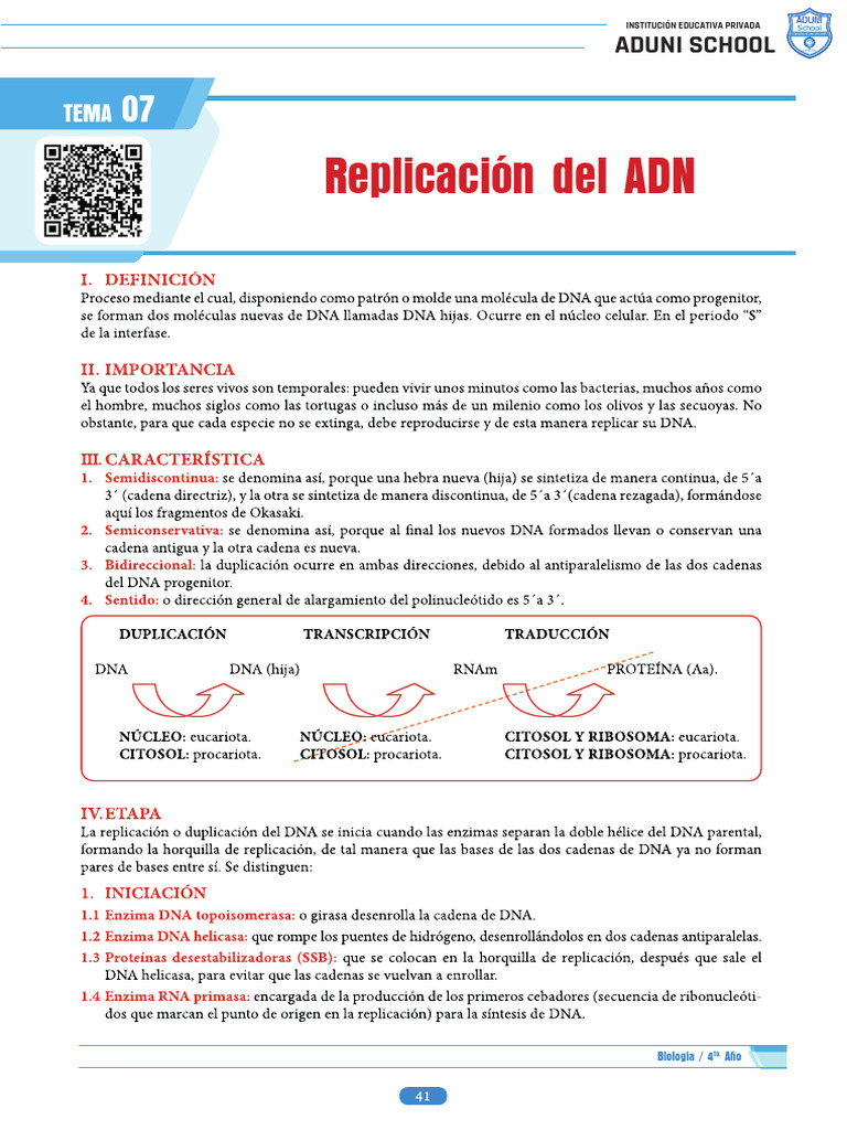 Replicación Del ADN | PDF | Replicación De Adn | Adn