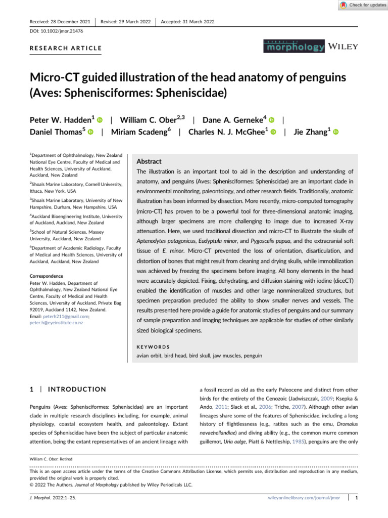 Hadden2022Micro CT Guided Illustration of The Head Anatomy of Penguins ...