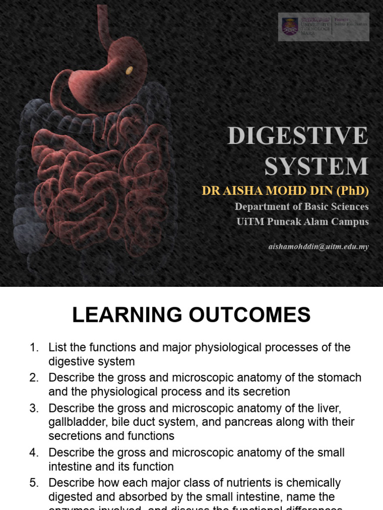 Digestive System i, II & III | PDF | Bile | Stomach